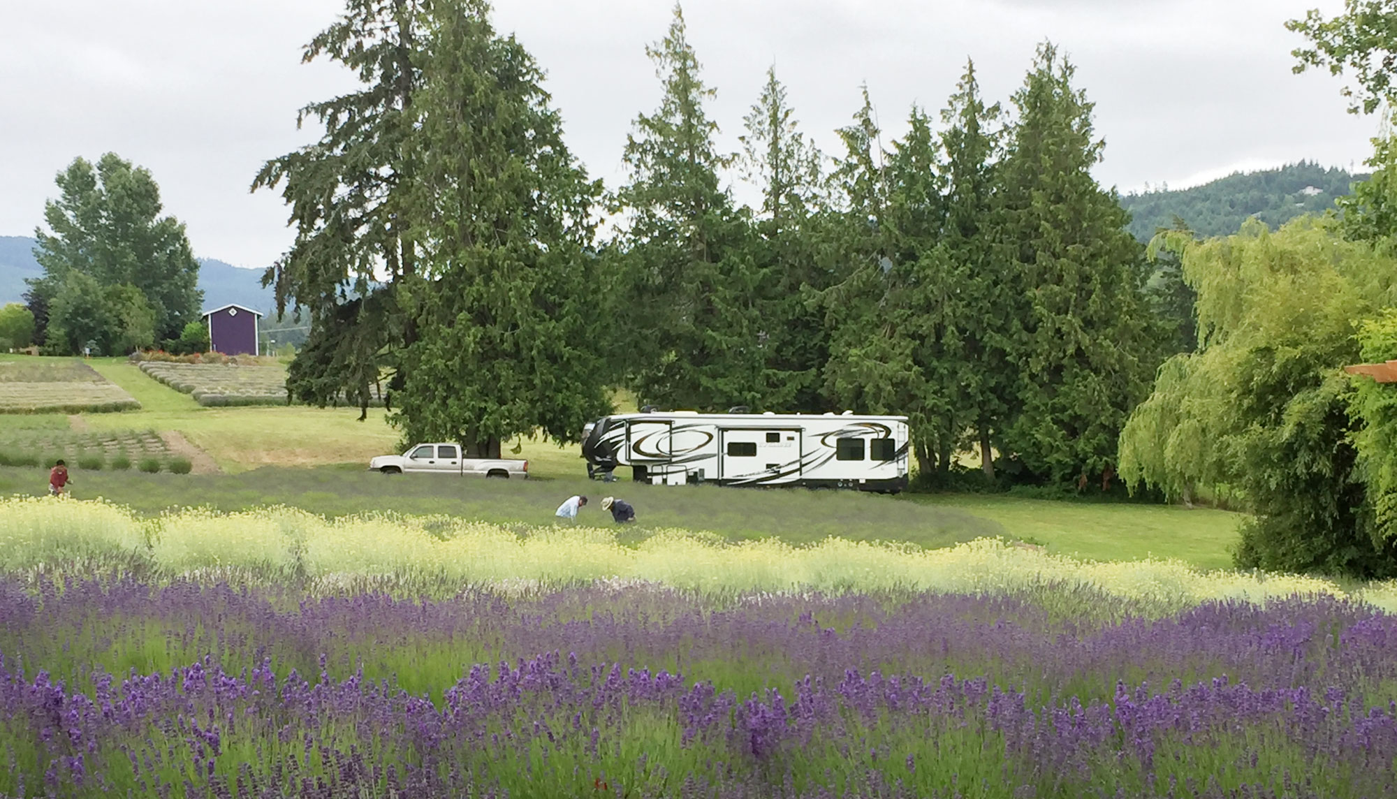 Living The Dream - Different Adventures